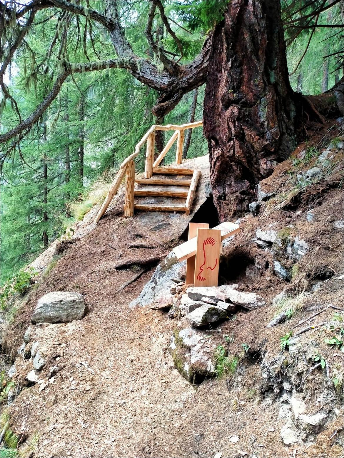 La scalinata dei larici monumentali